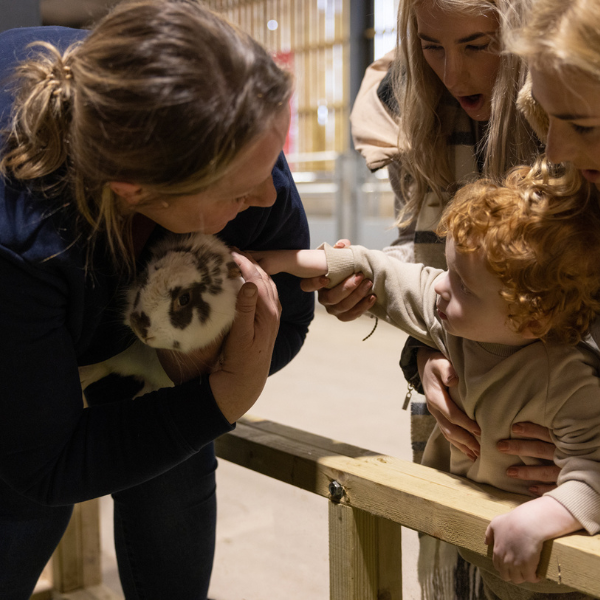 Buy Farm Admission / Mynediad Fferm Tickets online - Colliers Farm