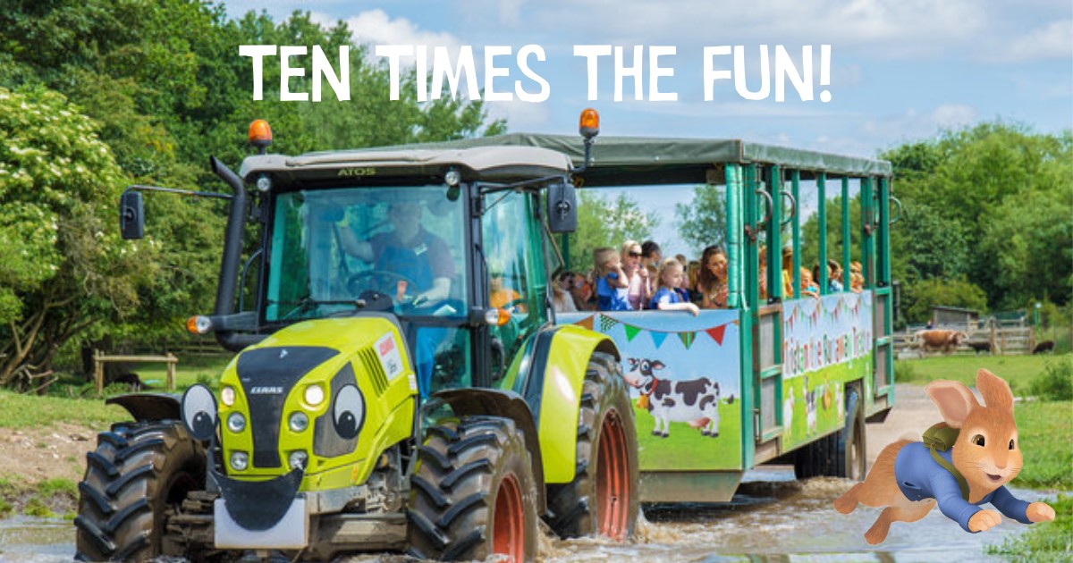 Buy Summer 2025 Multi-Tickets 10 Times the Fun Tickets online - Willows ...