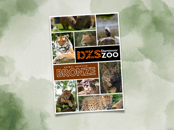 Buy Bespoke Bronze Adoptions Tickets online - Dartmoor Zoo