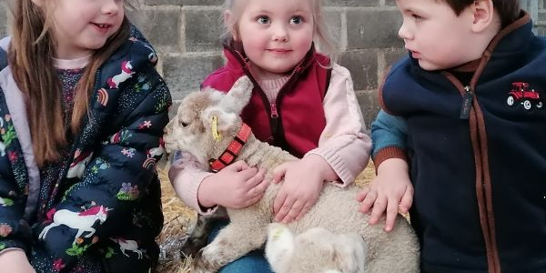 Folly Farm Tickets, Products, Bundles, Membership Plans, Gift Vouchers ...