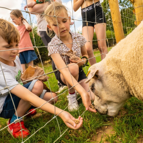 Boston Park Farm Tickets, Products, Bundles, Membership Plans, Gift ...