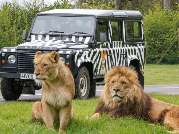 Buy VIP Animal Experiences Tickets online - Longleat