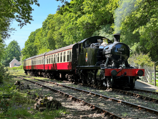 Buy All Line Shoulder Season - March - July 24th 2025 Tickets online ...