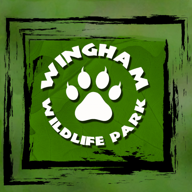 Buy Special Events Tickets online - Wingham Wildlife Park