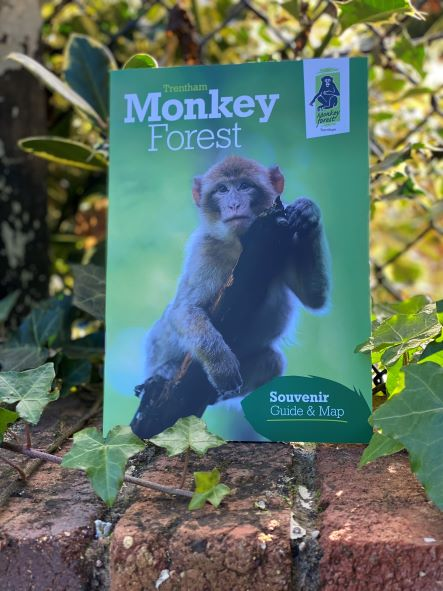 Buy Monkey Forest Map & Guide Tickets online - Monkey Forest