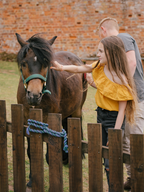 Buy Pony Grooming Tickets online - Powderham Castle