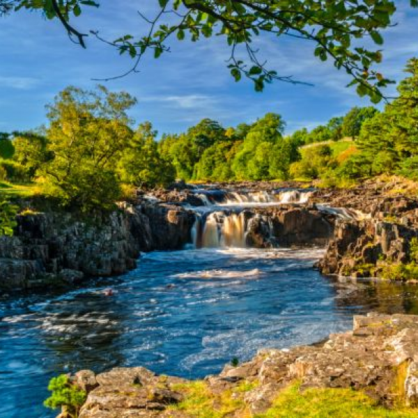 Raby Estates Tickets, Products, Bundles, Membership Plans, Gift ...