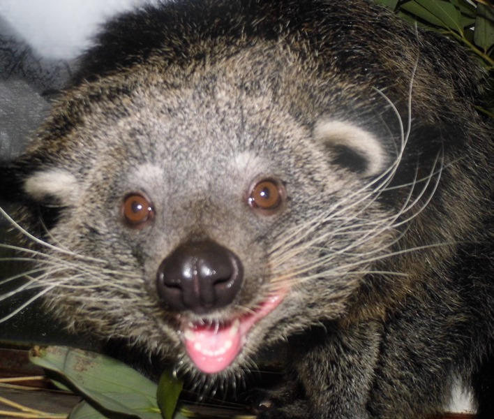 Buy ANNUAL PASSES Tickets online - Linton Zoo Conservation Park