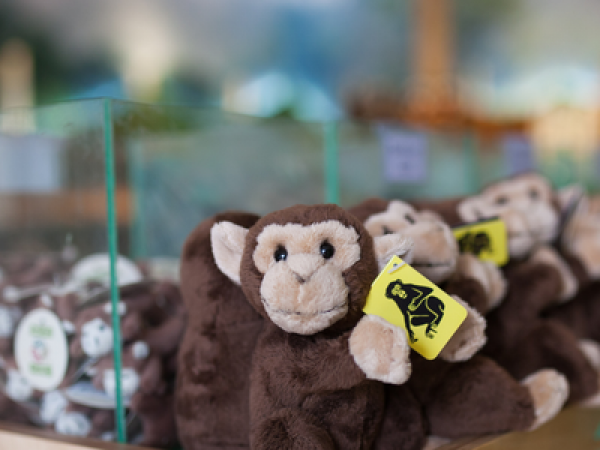 Buy Individual Gifts Tickets online - Monkey Forest