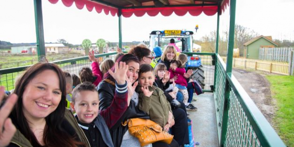 Piglets Adventure Farm Tickets, Products, Membership Plans, Generics ...