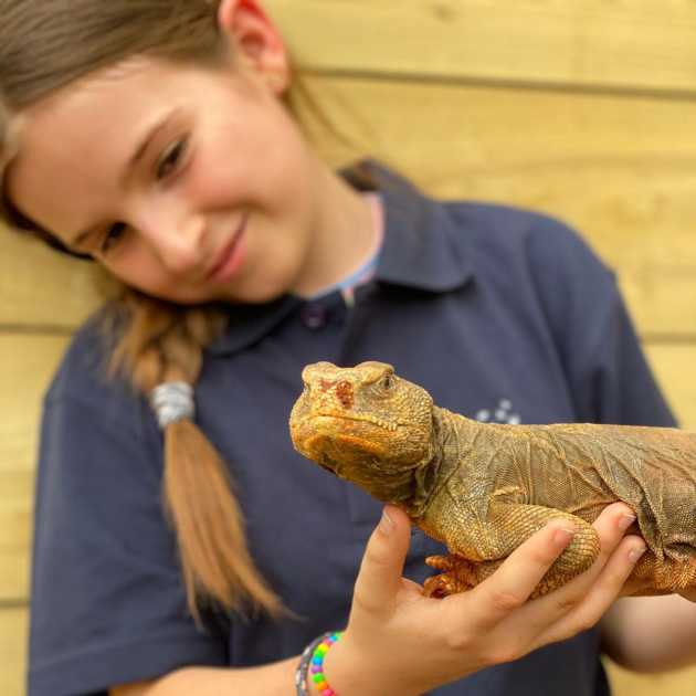 Buy Animal Experience Gifts Tickets online - Jimmy's Farm & Wildlife Park