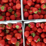 Brocksbushes Fruit Farm Tickets, Products, Gift Vouchers - Buy Online