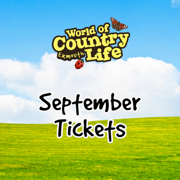 Buy Online Day Entry Summer 2021 Tickets online - World of Country Life