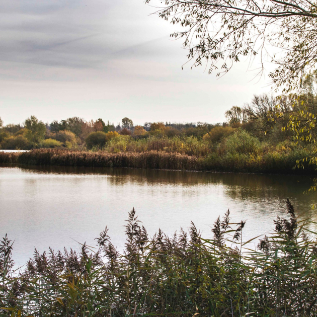 Buy Linford Lakes Nature Reserve New and Renewal Permits Tickets online ...
