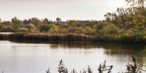 Buy Linford Lakes Nature Reserve New and Renewal Permits Tickets online ...