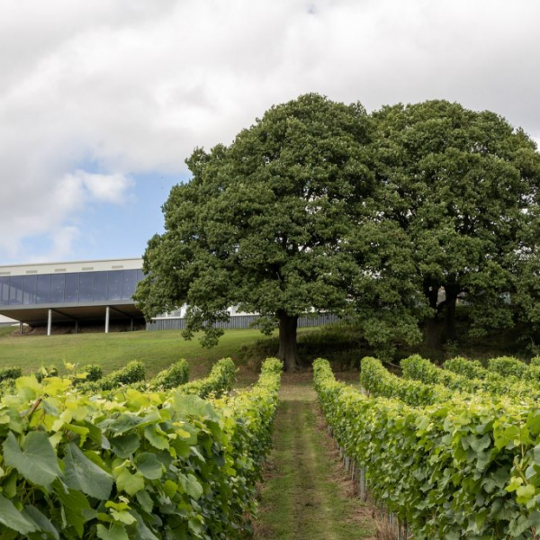 Hencote Tickets, Products, Bundles, Gift Vouchers - Buy Online