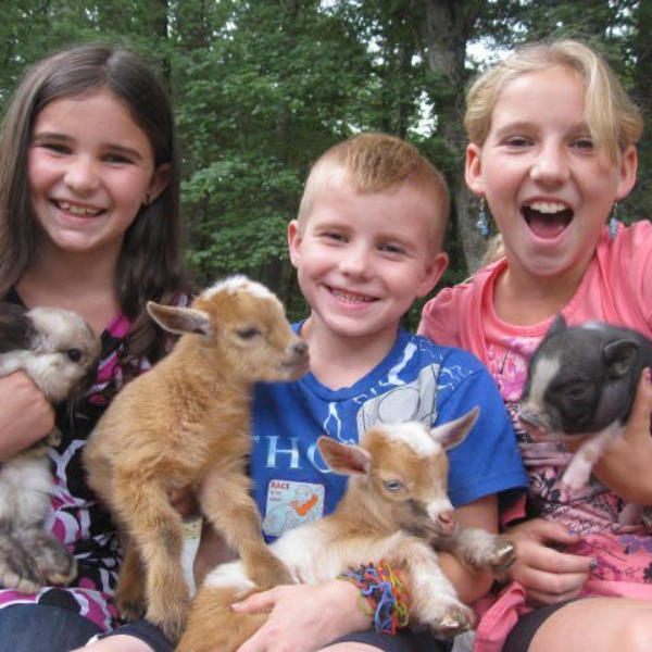 Buy Animal Encounters Tickets online - Willow Tree Farm