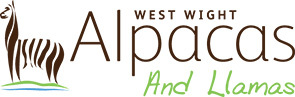 West Wight Alpacas Tickets, Membership Plans, Gift Vouchers - Buy Online