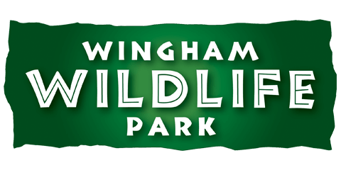 Wingham Wildlife Park Tickets, Products, Membership Plans, Gift ...