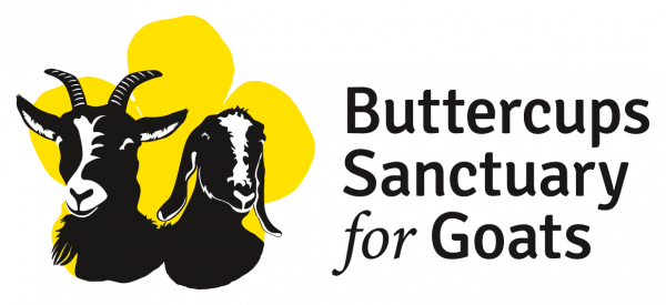 Buttercups Goat Sanctuary Tickets, Products, Membership Plans, Gift ...