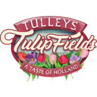 Tulleys Tulip Fields - Hertfordshire Tickets - Buy Online