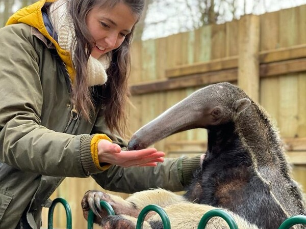 Buy Animal Experience Tickets Tickets online - Jimmy's Farm & Wildlife Park