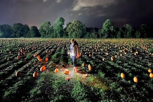 Buy Pumpkin Nights Tickets online - Hatters Farm