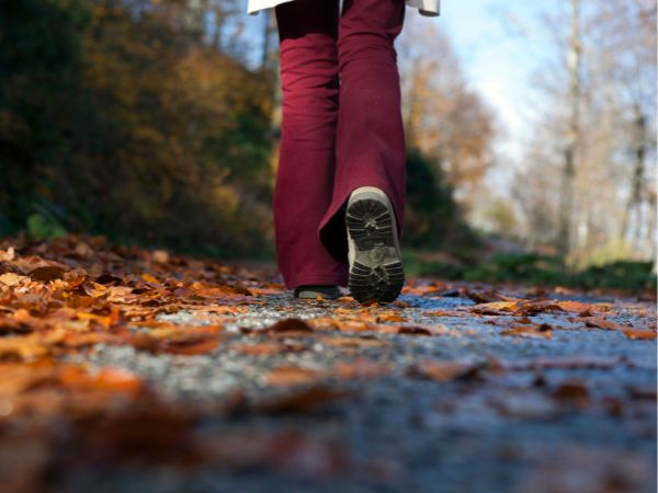 Buy Museum Events Tickets online - Petersfield Museum