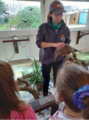 Buy Home Ed - Learning & Discovery Sessions Tickets online - Wildheart Animal Sanctuary