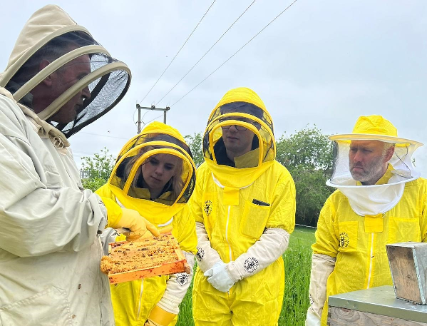 Buy Meet The Bees Tickets online - Stonehurst Farm