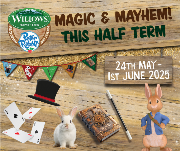 Buy Magic and Mayhem Half Term Fun (24th May - 1st June) Tickets online ...