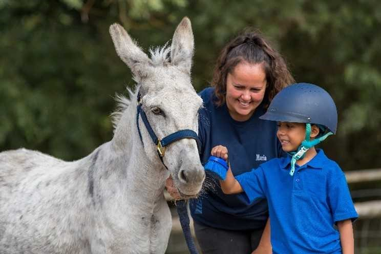Buy Pony Grooming VIP Experience Tickets online - Willows Activity Farm