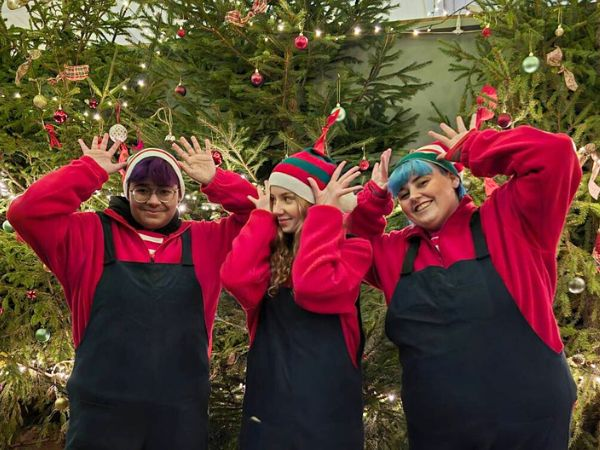 Buy SEN Christmas at the Farm Tickets online - Hogshaw Farm & Wildlife Park