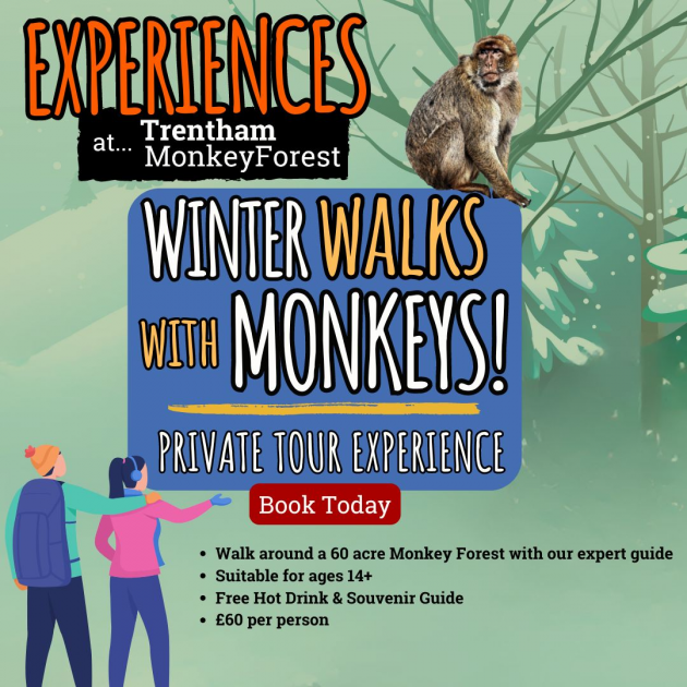 Buy Exclusive Private Tours: Winter Walks With Monkeys! Tickets online - Monkey Forest