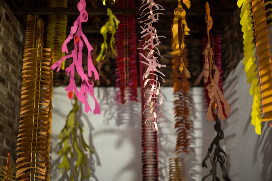 Buy Workshop: Make Seaweed Streamers with Bethan Laura Wood Tickets ...