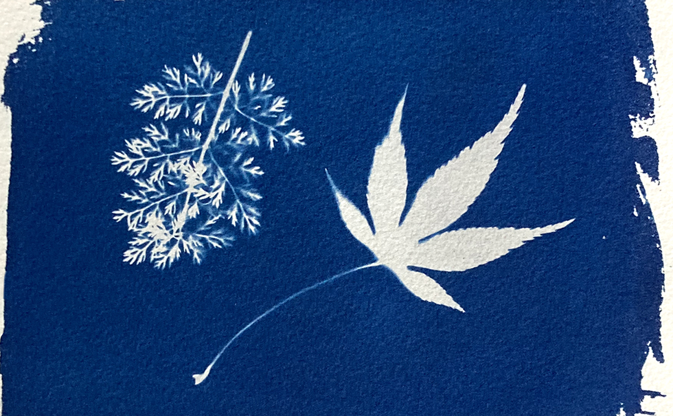 Buy Workshop: Cyanotype and Cyanolumens Tickets online - The Design Museum