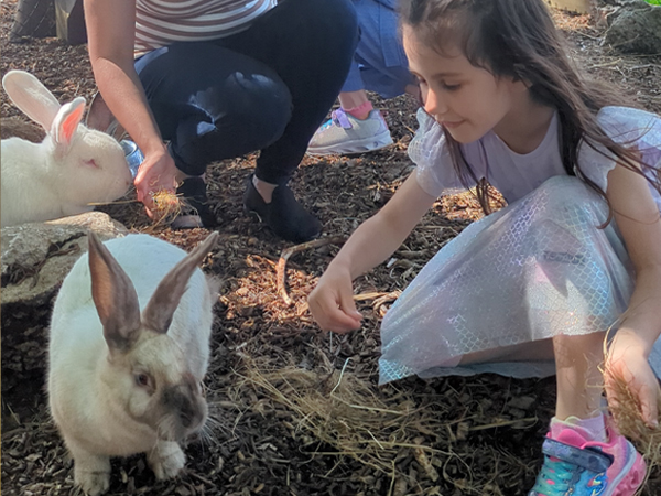 Buy Animal Keeper Experience Tickets online - Knockhatch Adventure Park