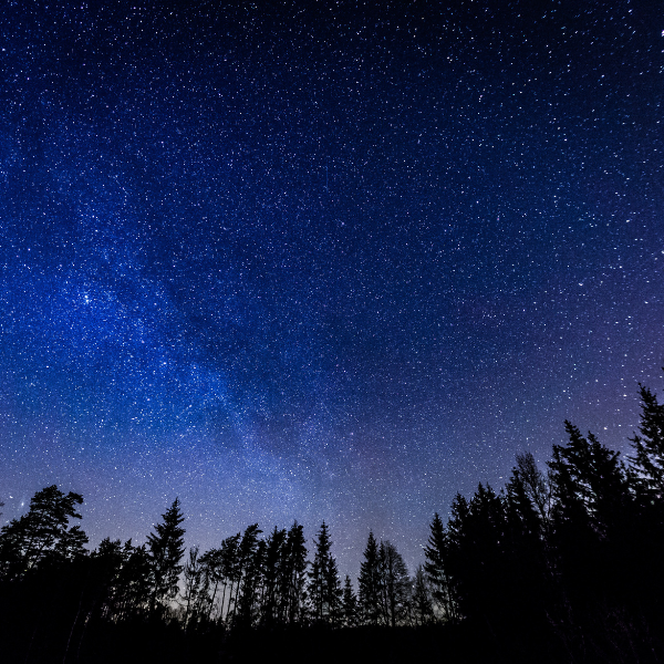 Buy Dark Skies Event Tickets online - Amberley Museum & Heritage Centre
