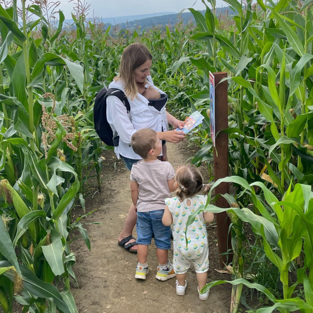 Buy Maize Maze Frome Tickets online - Palette and Pasture