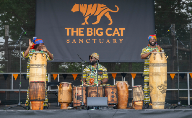 Buy Big Cat Fest - Friday 7th August Tickets online - The Big Cat Sanctuary