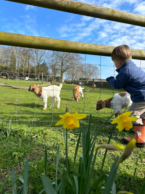 Buy Self-led School Visits (RESERVE YOUR DATE FOR FREE-TRIP INVOICED ...