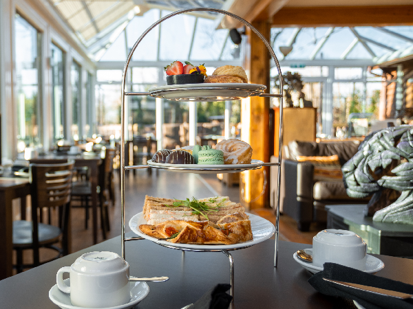 Buy Paul Hollywood Afternoon Tea Tickets online - The Big Cat Sanctuary