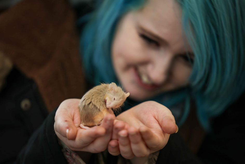 Buy Mini Keeper Tickets online - Whitehouse Farm Centre