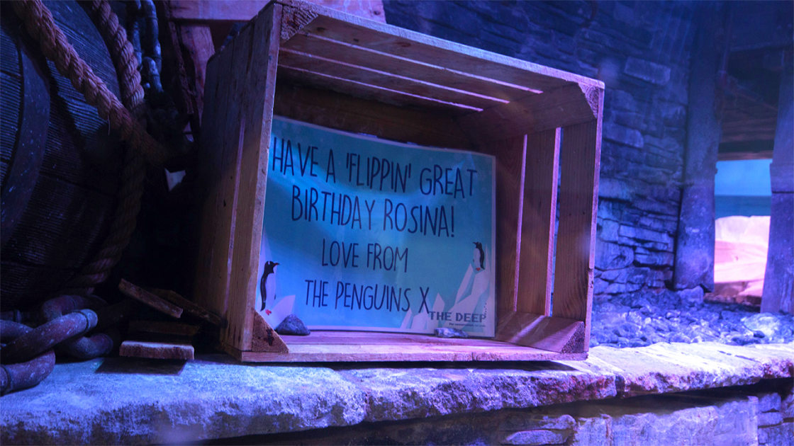 Buy Penguin Sign Tickets online - The Deep