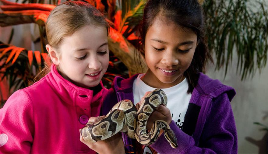 Buy Reptile Encounter Tickets online - Willow Tree Farm