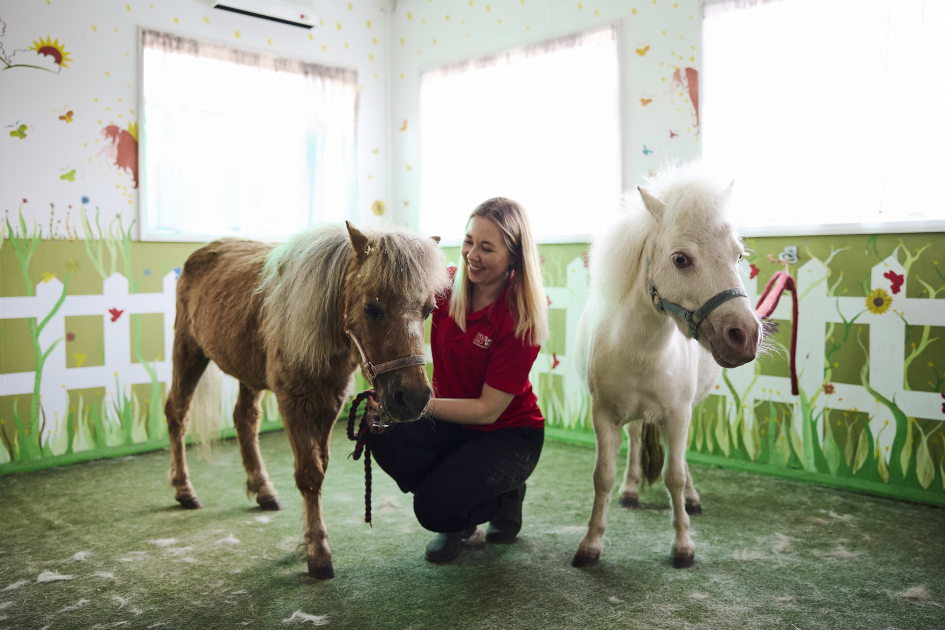 Buy Meet the Mini Ponies Tickets online - GLL/Better