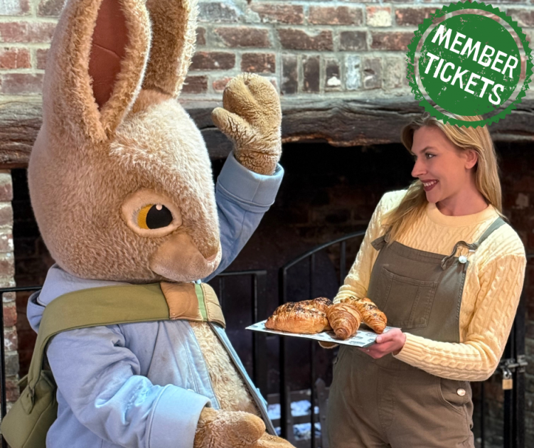Buy MEMBER Breakfast with Peter Rabbit and Lily Bobtail Tickets online ...