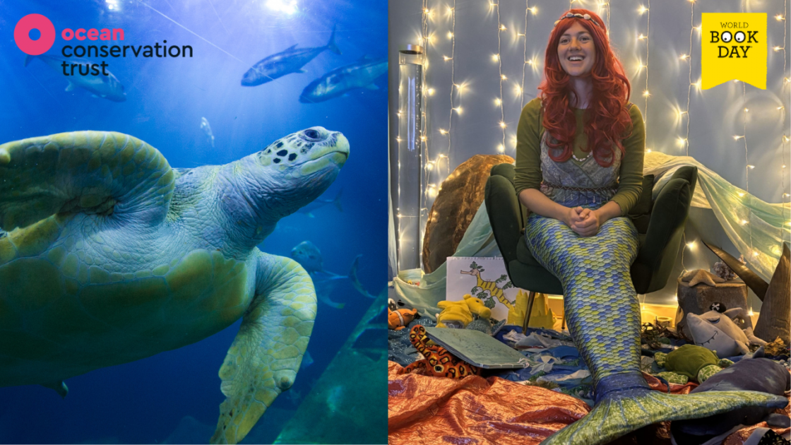 Buy Ocean Conservation Trust - World Book Day Virtual Mermaid Story ...