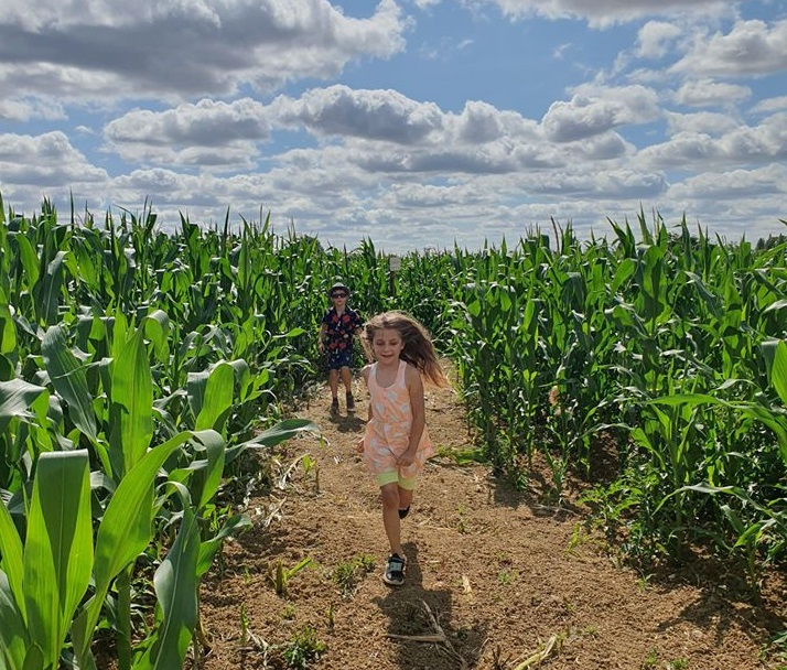 Buy Maize Maze Tickets online - Cammas Hall Fruit Farm