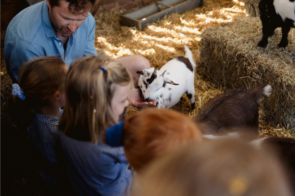 Buy General Admission (Weekends, School Holidays & Bank Holidays ...